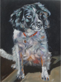 Pet Portraits Paintings for your Pet